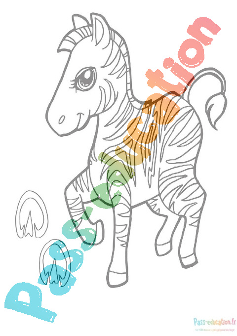 Coloriage gratuit : Zèbre - PDF à imprimer