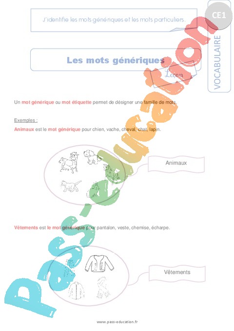 Les Mots Étiquettes Ce1 Leçon | Les catégories sémantiques CP CE1 – TAVSK