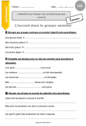 Exercice Accord dans le groupe nominal : 3eme Primaire - Pass Education