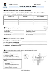 Exercice Accord dans le groupe nominal : 5eme Primaire - Pass Education
