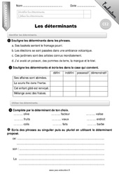Déterminants et pronoms : 3eme Primaire - Exercice évaluation révision ...