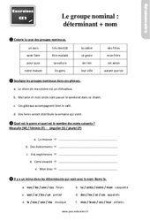 Exercice Groupe nominal : 3eme Primaire - Pass Education