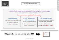 Lettre finale muette : 3eme Primaire - Exercice évaluation révision ...