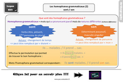 Homonymes, homophones : 3eme Primaire - Exercice évaluation révision ...