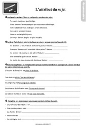 attribut du sujet exercices PDF Cours,Exercices ,Examens