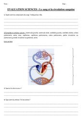 circulation du sang dans le coeur schéma PDF Cours,Exercices ,Examens