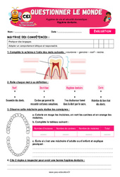 Hygiène dentaire – CE1 – Evaluation – Apis & ses amis - Cycle 2 - PDF à ...