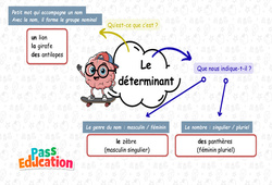 Les déterminants – Carte mentale co-construire pour le ce1 - Cycle 2 ...